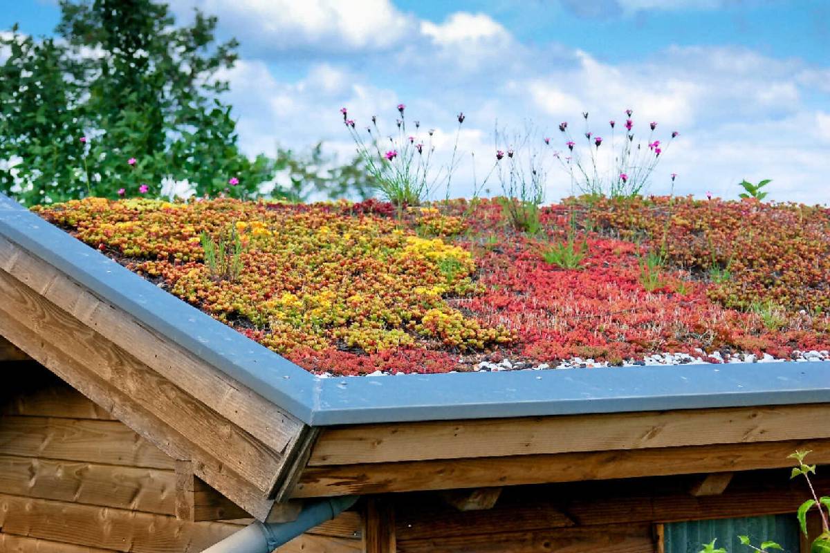 Zelená střecha | Isover